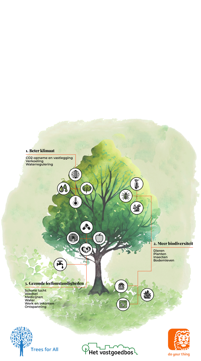 Over ons - First Real Estate